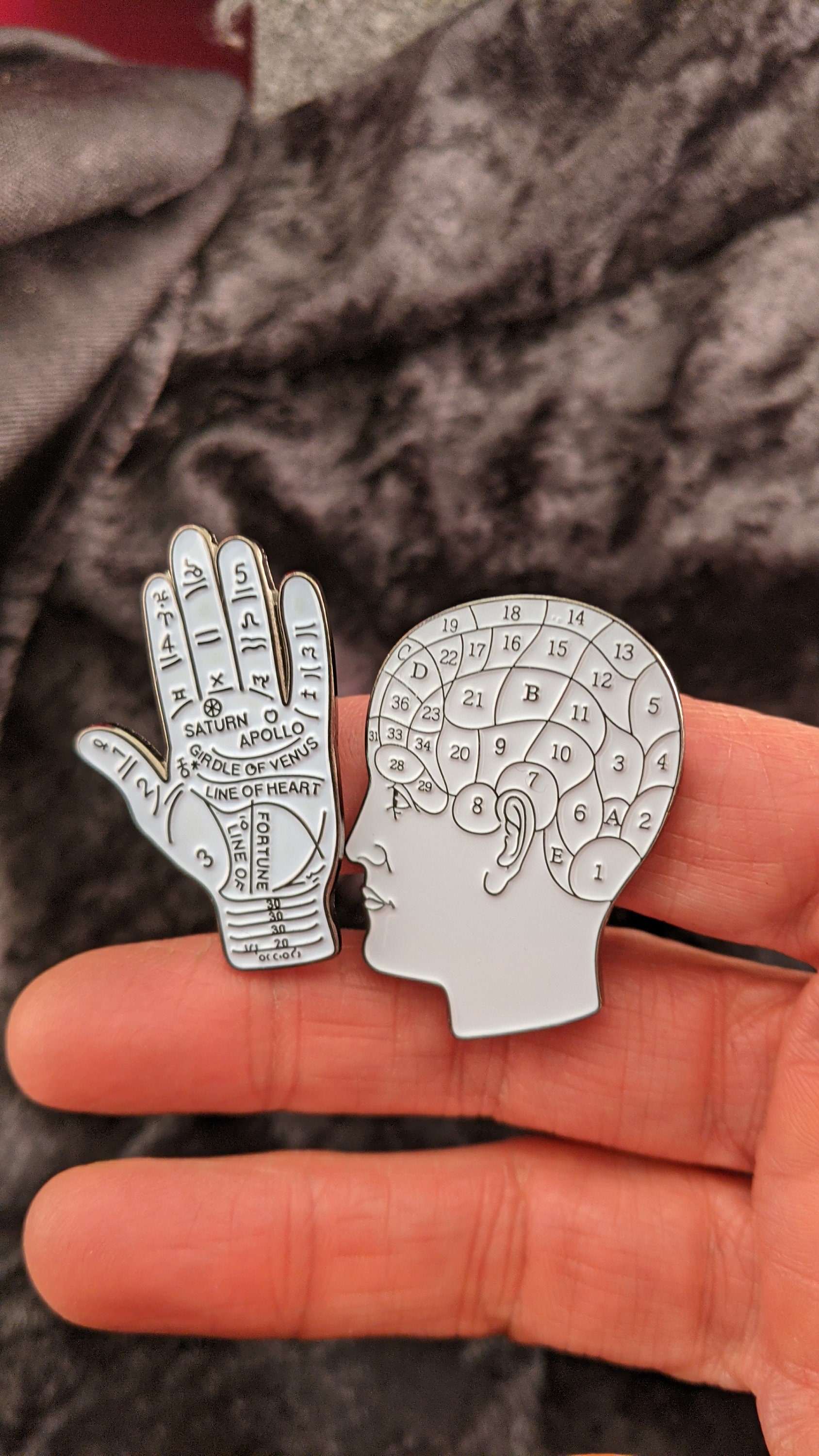 2-pin Set: Palmistry Hand AND Phrenology Head Pins Being | Etsy