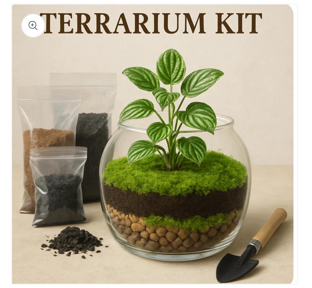Create Your Own Terrarium Kit Sustainable Collection - Etsy