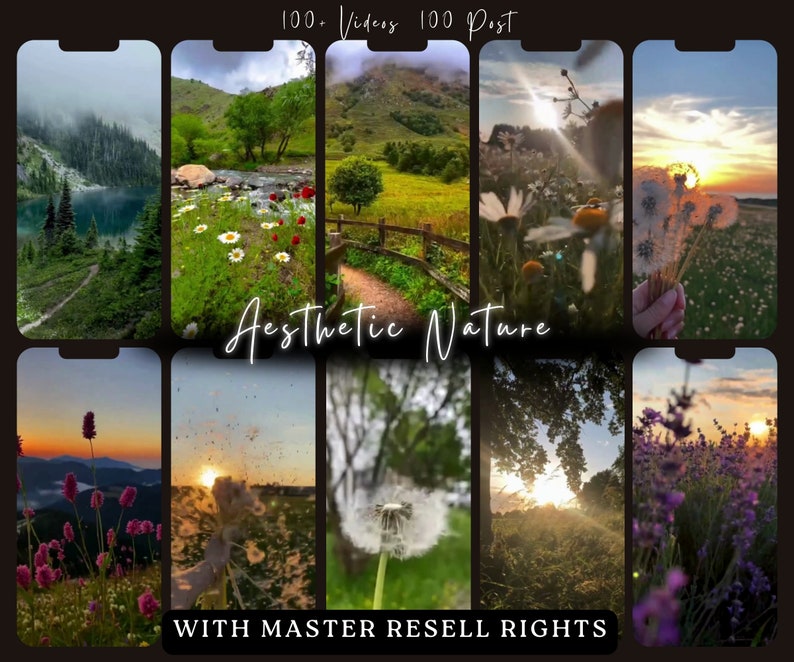 Simply Passive: Digital Marketing Course for Beginners MRR & PLR ...