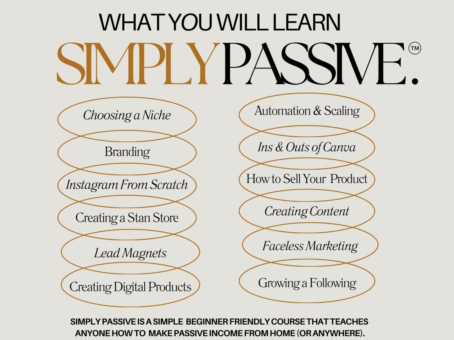 Simply Passive: Digital Marketing Course for Beginners MRR & PLR ...