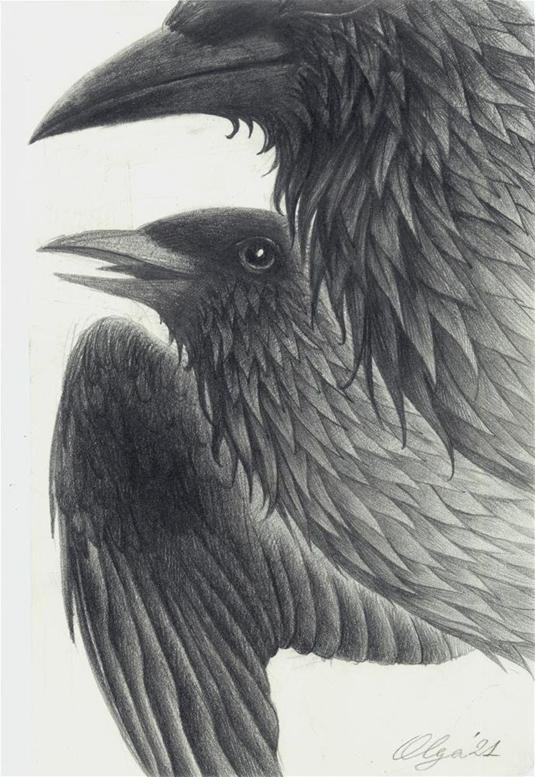 Original Graphite Drawing crows - Etsy