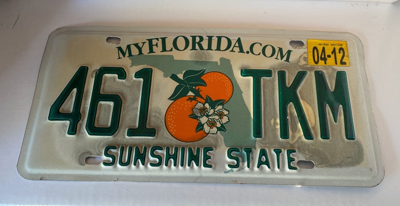 Florida Souviner Original Florida State Expired License Plate - Etsy