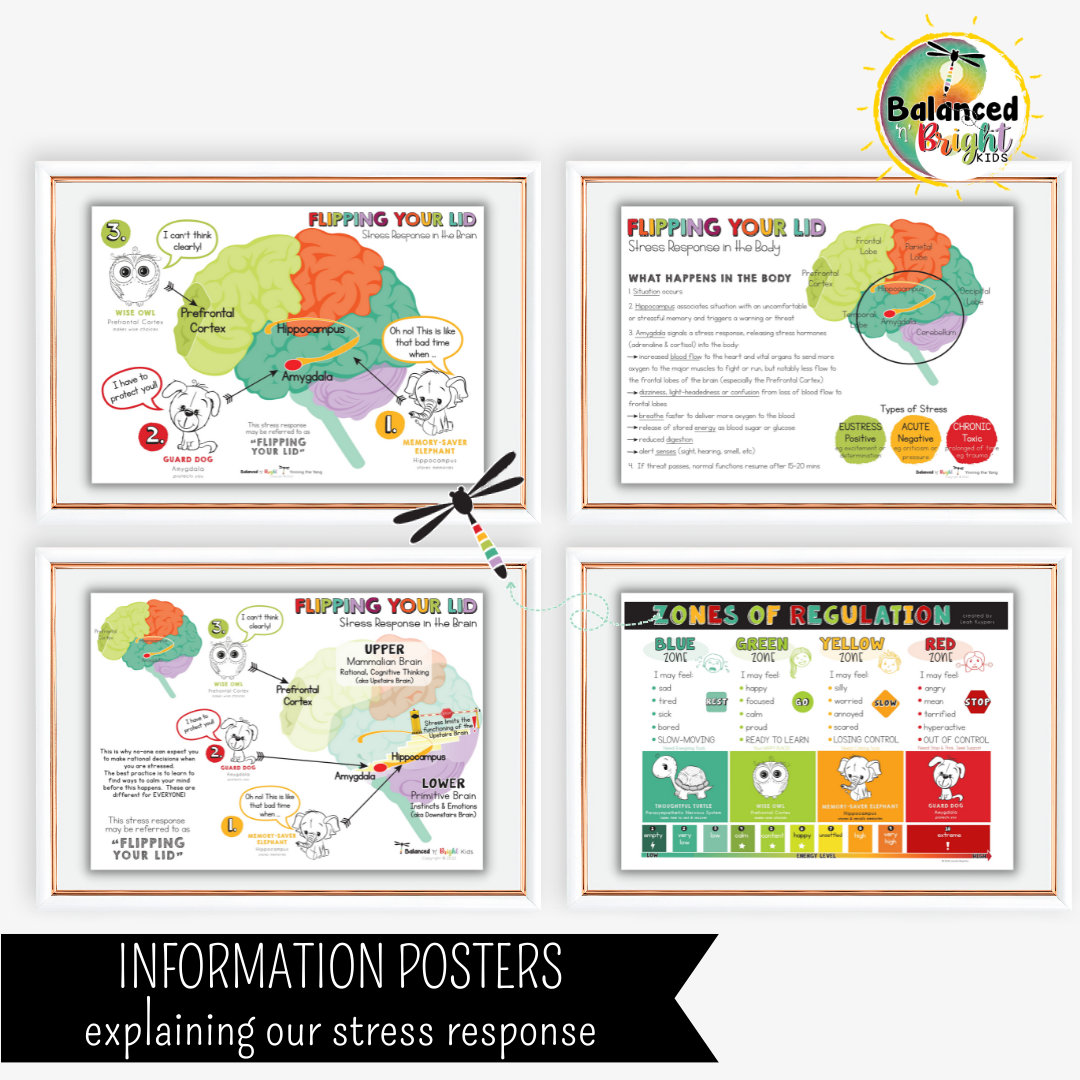 Flipping Your Lid - Stress Response: Classroom Management, Kids, Self ...
