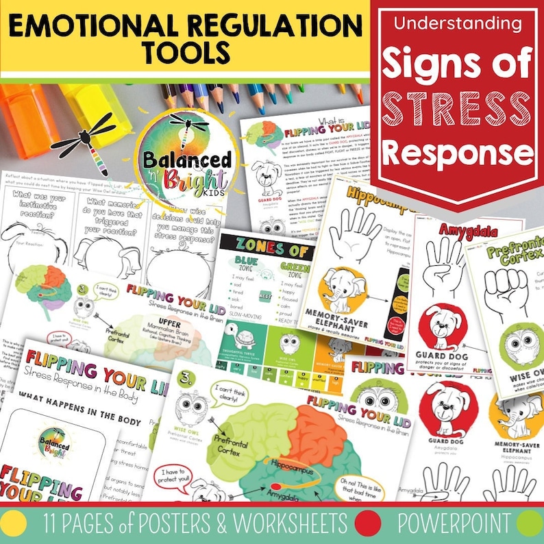 Flipping Your Lid - Stress Response: Classroom Management, Kids, Self ...