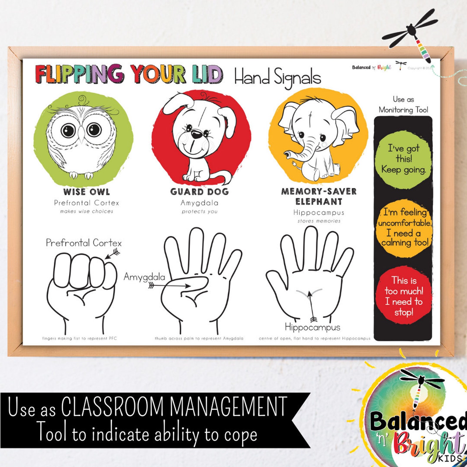 Flipping Your Lid - Stress Response: Classroom Management, Kids, Self ...