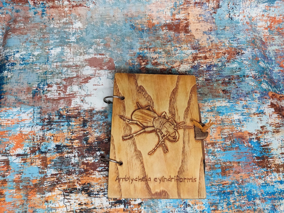 Entomology Notebook, Insect Wooden Notebook, Craft Wood Cover Notepad ...