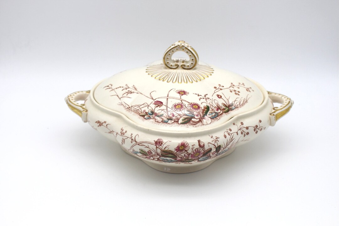 Bowl With Lid T. Furnival & Sons 1911 Decor Wild Chrismations - Etsy