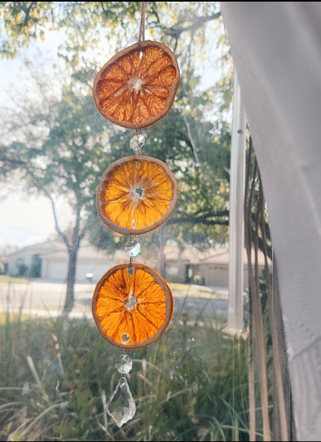Citrus Decor - Etsy