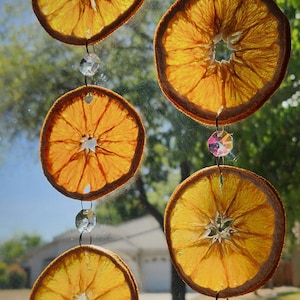 Citrus Decor - Etsy