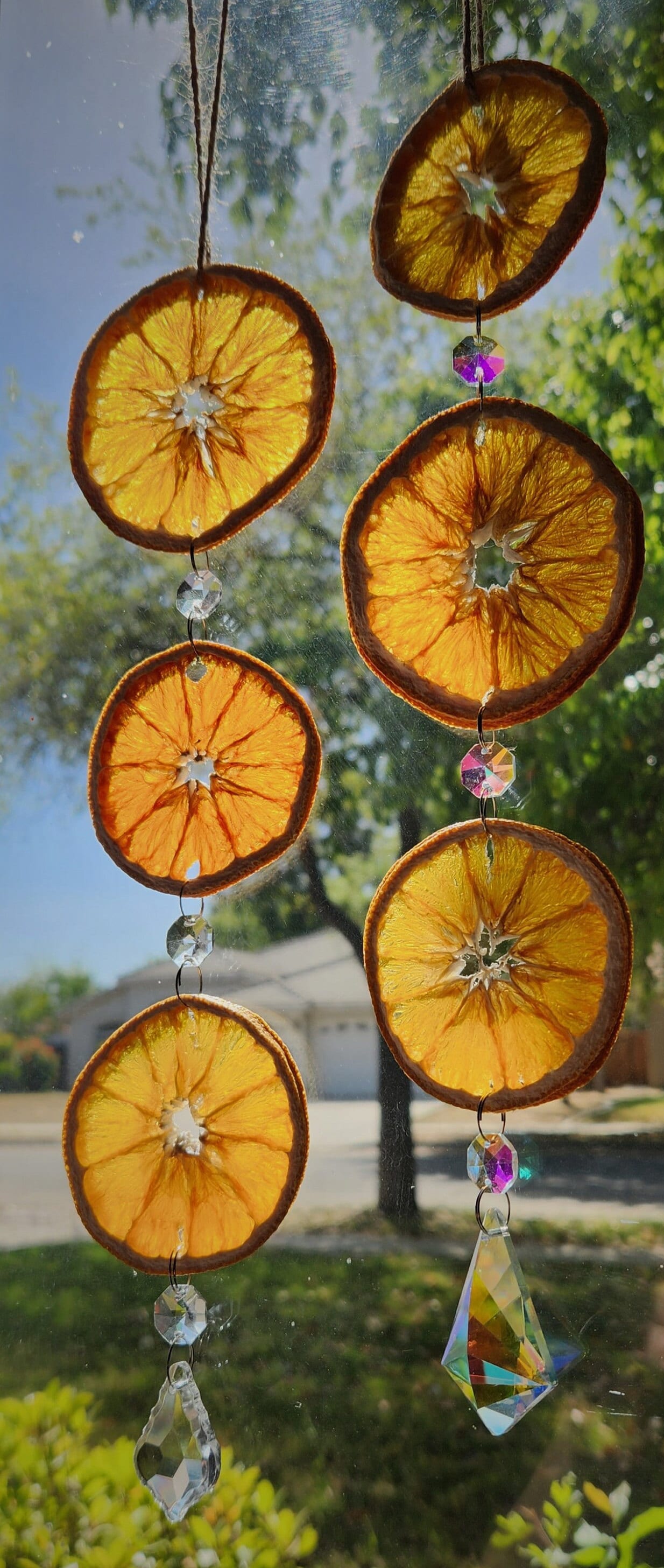 Citrus Decor - Etsy