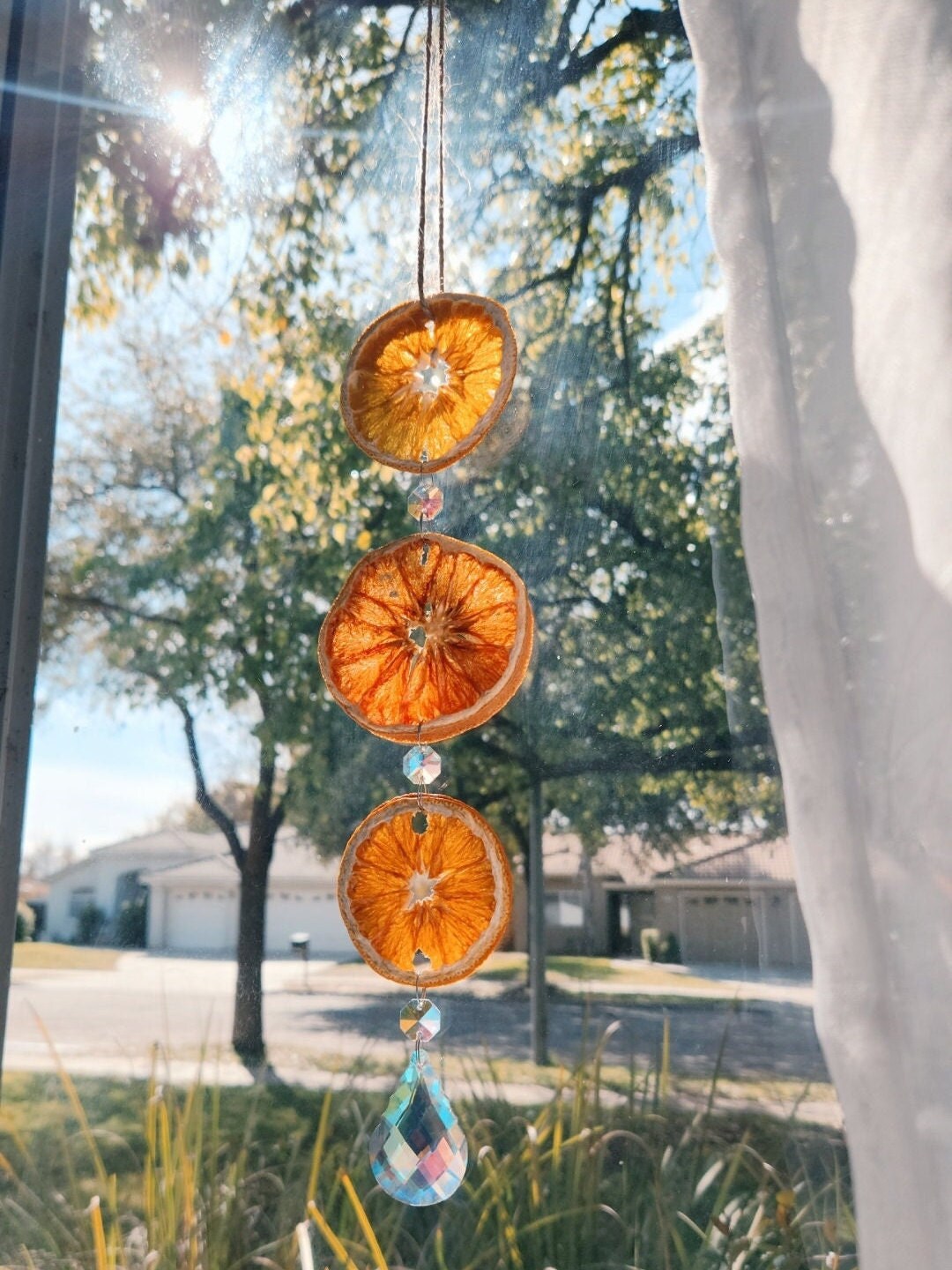 Citrus Decor - Etsy