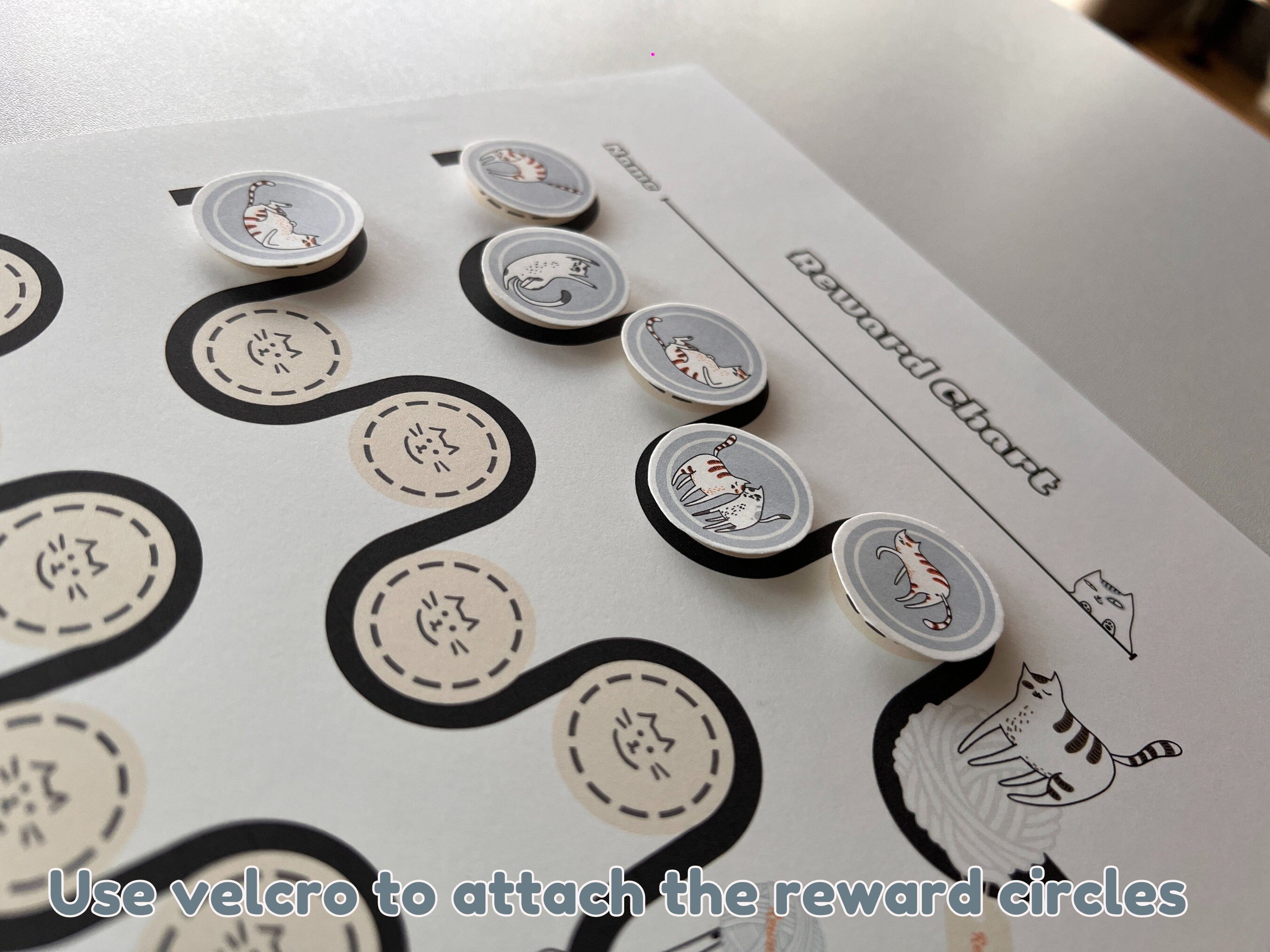 Printable Cats Reward Chart School Sticker Chart Toddler Routine Poster ...