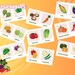 Vegetables Game Flashcards | Preschool Learning Cards | Montessori ...