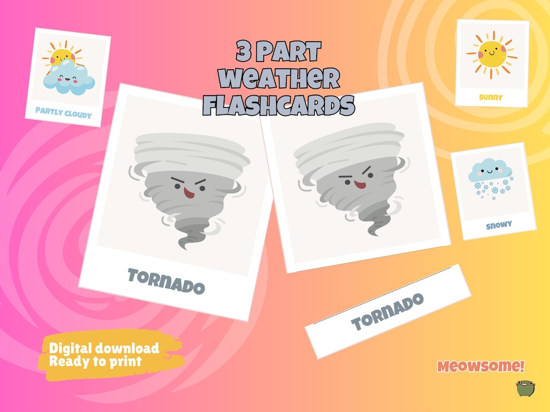 3 Part Weather Learning Cards Preschool Homeschool Printable Weather ...