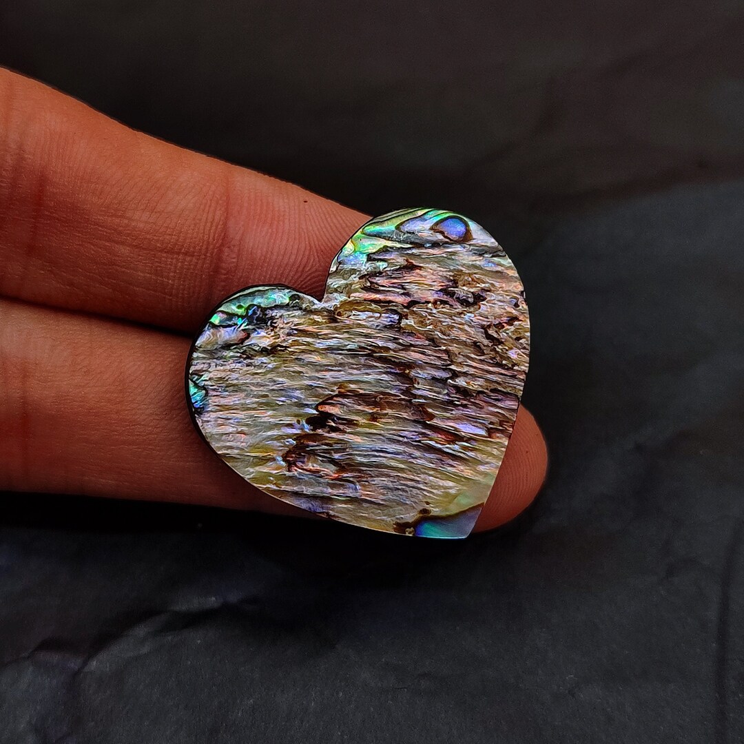 Natural Abalone Shell- Abalone Shell- Natural Sea Shell- Abalone Shell ...