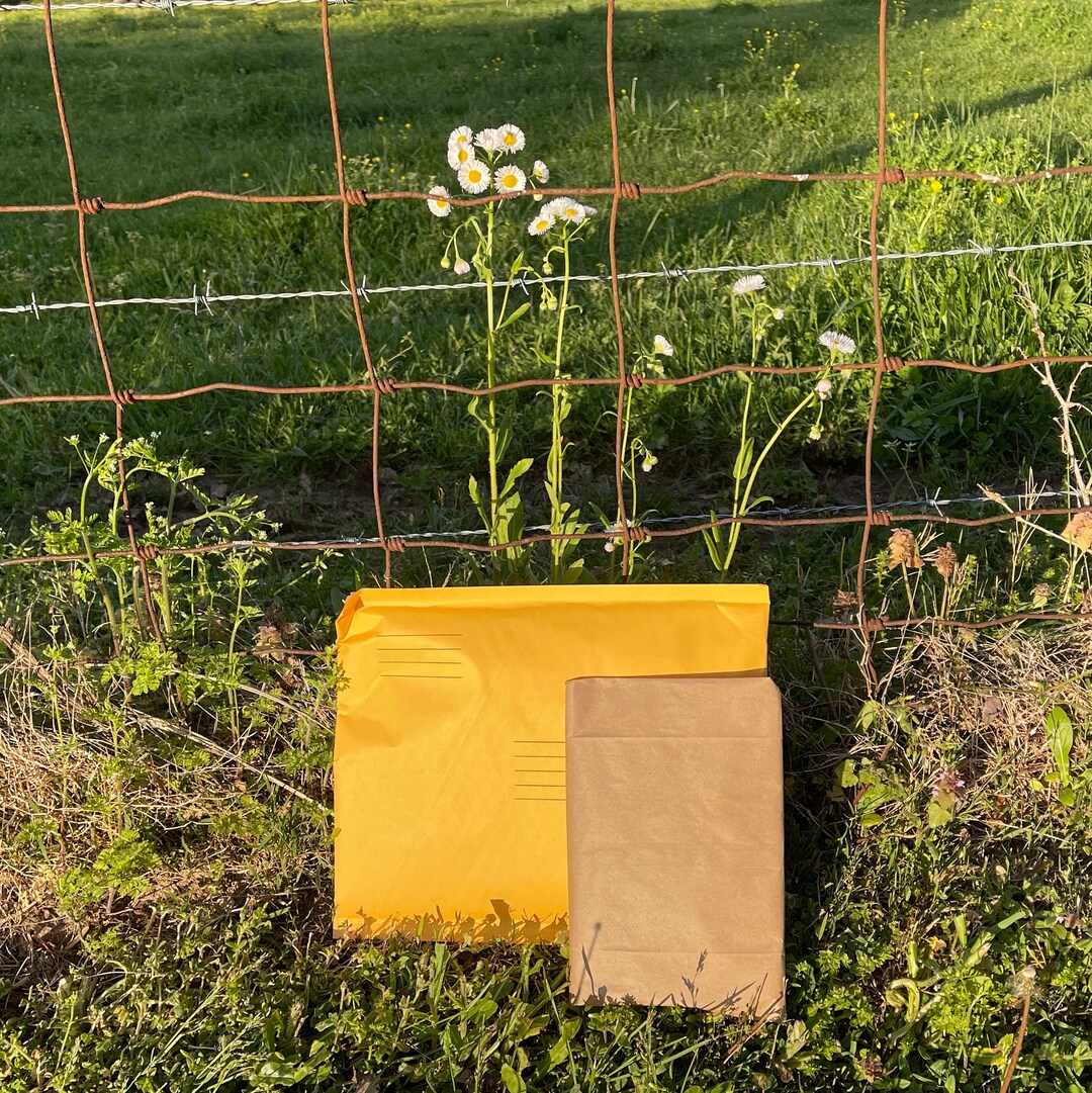 Collage Packs - Etsy