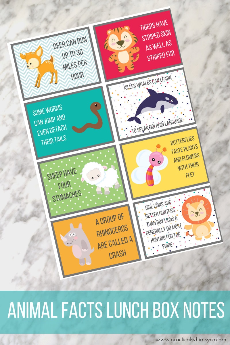 Animal Affirmation Cards Printable, Kids Daily Affirmation, Positive ...