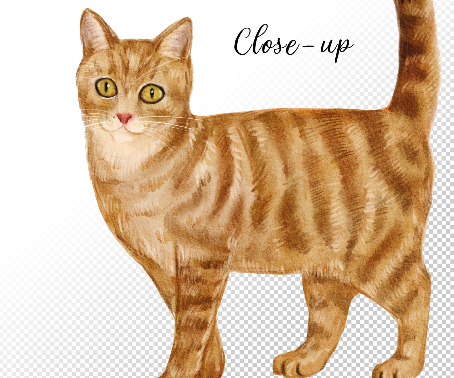 Watercolor Cats Clipart. Hand Painted Cat Lovers Clip Art. - Etsy