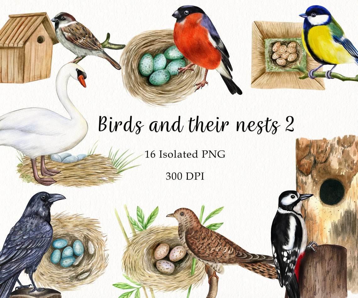Watercolor Birds and Their Nests Clipart. Hand Painted Birds Houses ...