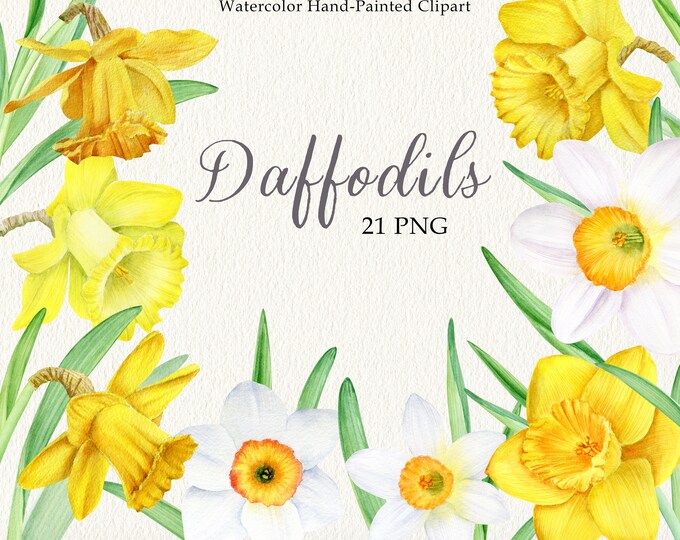 Watercolor Daffodils Clipart Set. Hand Painted Spring Flowers | Etsy