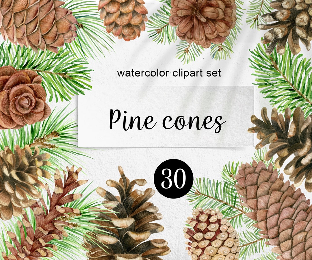 Watercolor Pine Cones and Branches Clipart. Christmas Wreath Evergreen ...