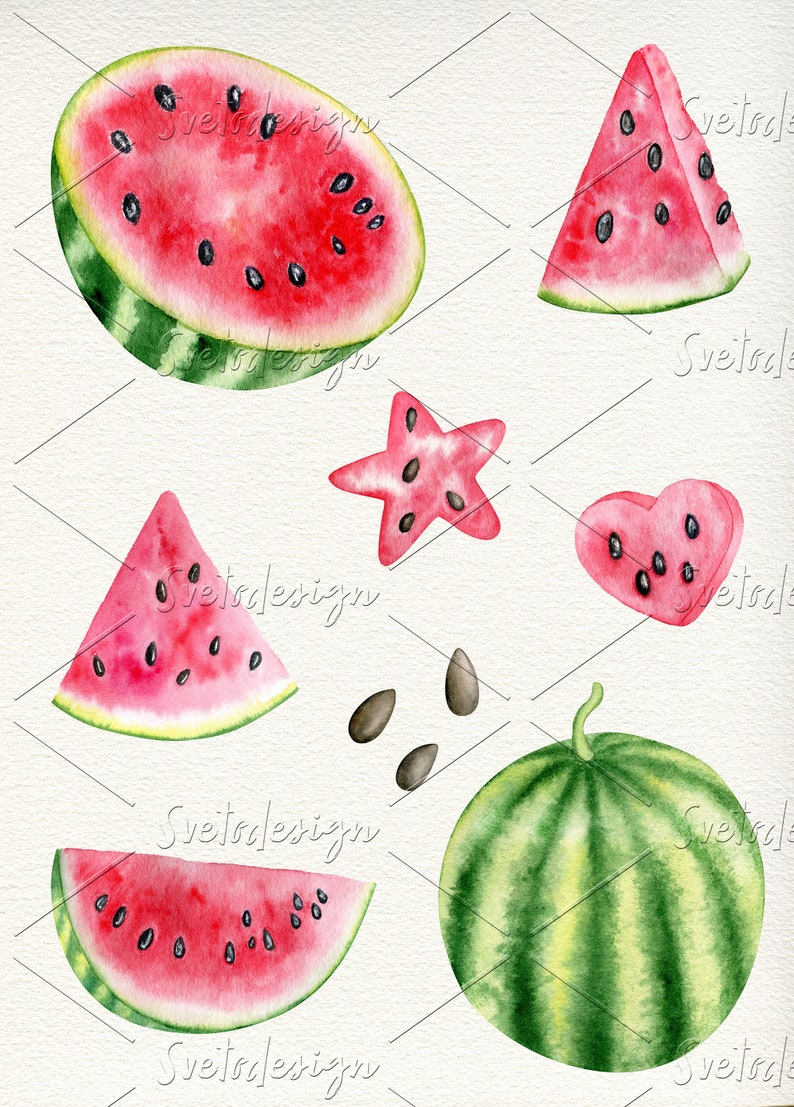 Watercolor Watermelon Clipart Set. Summer Juicy Watermelons, Dessert ...