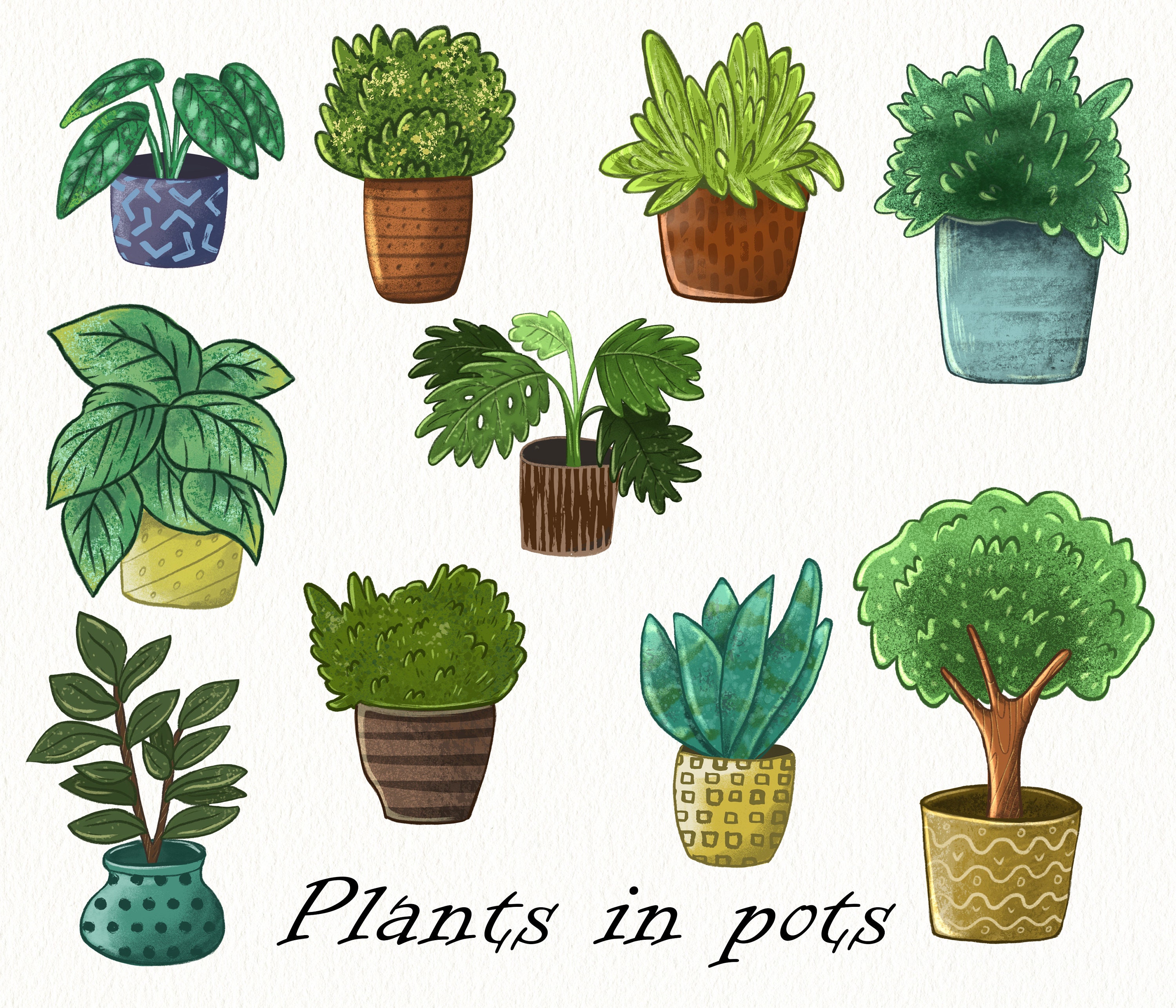 Indoor Plants Clipart. Hand Painted House Plants, Potted Greenery Set ...