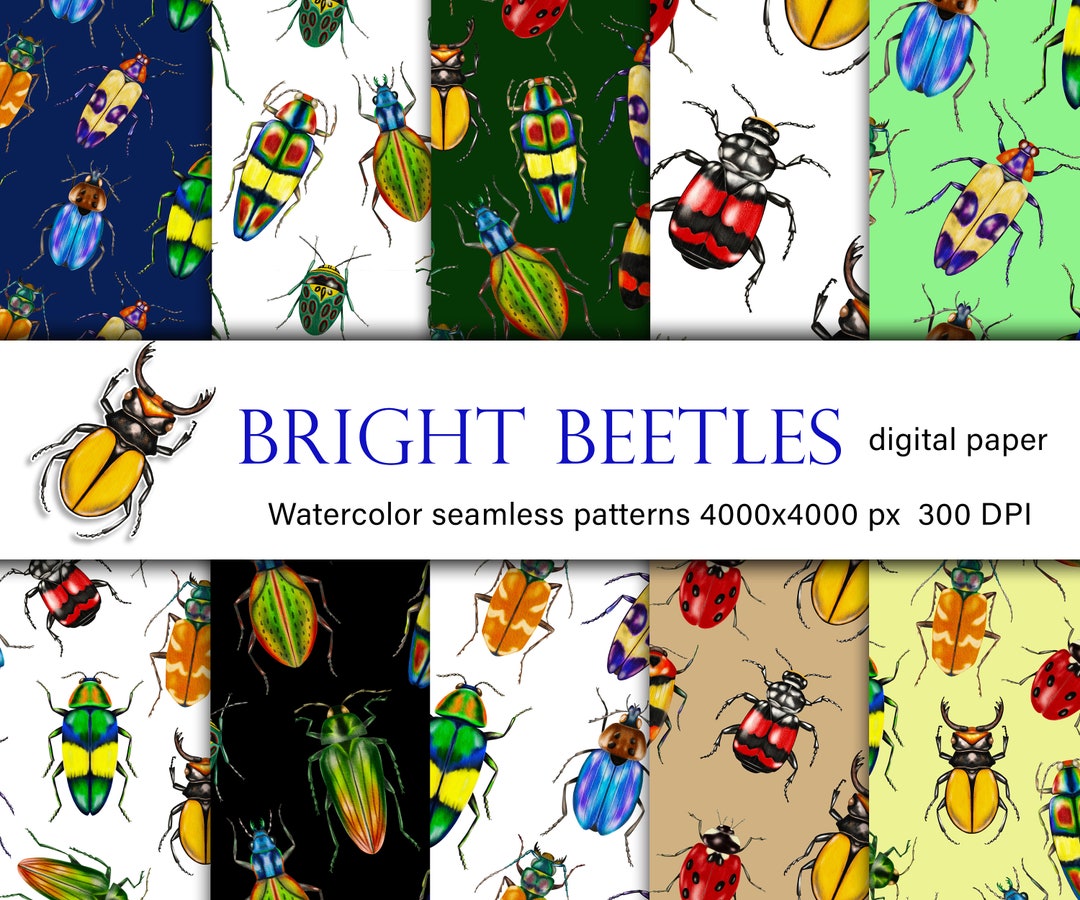 Watercolor Beetles Digital Paper Bug Pattern Insects Bug - Etsy