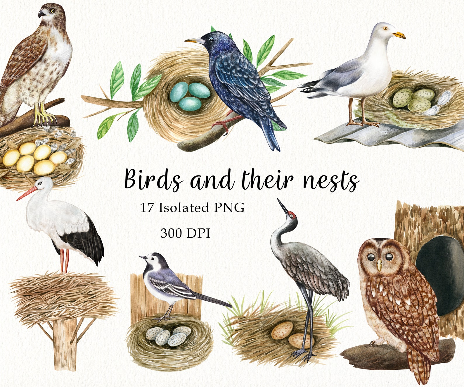 Watercolor Birds and Their Nests Clipart. Hand Painted Birds Houses ...