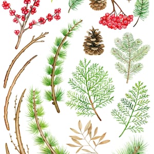 Christmas Watercolor Clipart. Winter Woodland Hand Painted Graphics ...