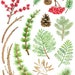 Christmas Watercolor Clipart. Winter Woodland Hand Painted Graphics ...