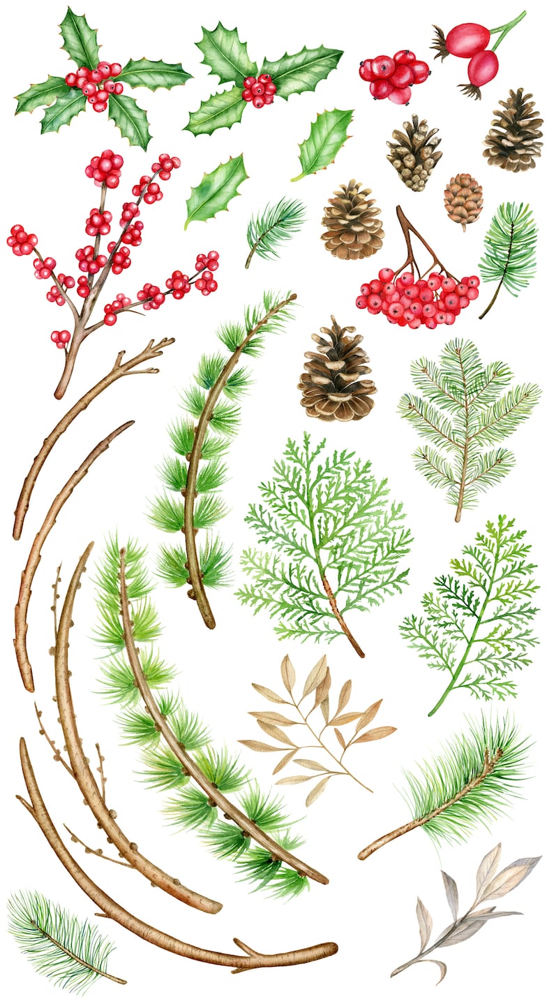 Christmas Watercolor Clipart. Winter Woodland Hand Painted Graphics ...