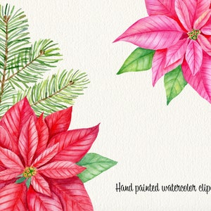 Watercolor Christmas Poinsettia Clipart. Winter Watercolor Hand Painted ...