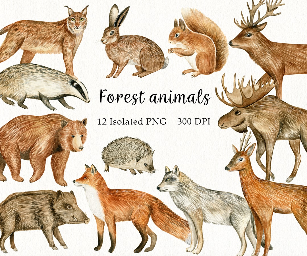 Watercolor Forest Animals Clipart. Hand Painted Woodland Set. Wild ...