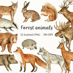 Watercolor Forest Animals Clipart. Hand Painted Woodland Set. Wild ...