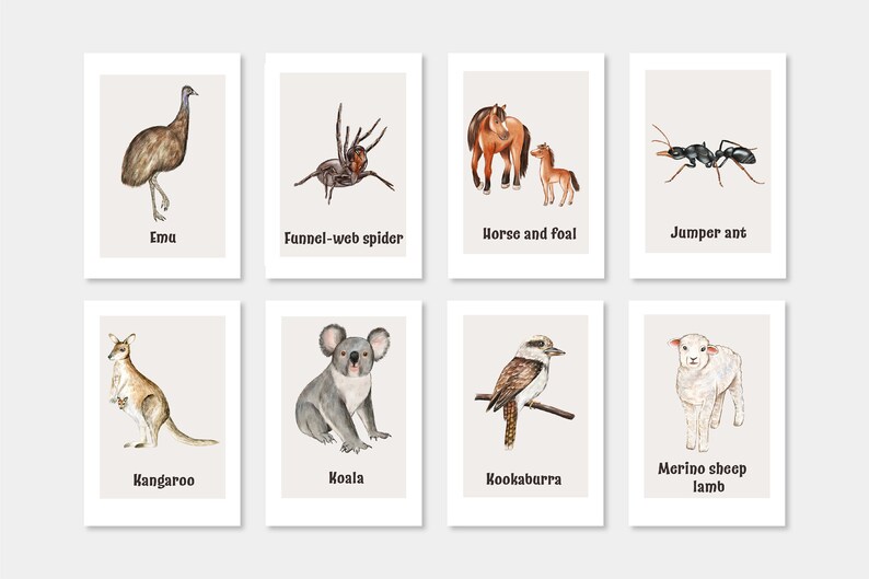 AUSTRALIAN ANIMALS Printable Cards. Cards for Education, School, Memory ...