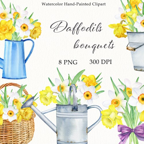Watercolor Daffodils Clipart Set. Hand Painted Spring Flowers - Etsy