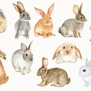 Watercolor Cute Rabbits Clipart Set. Hand Drawn Easter Spring Clip Art ...