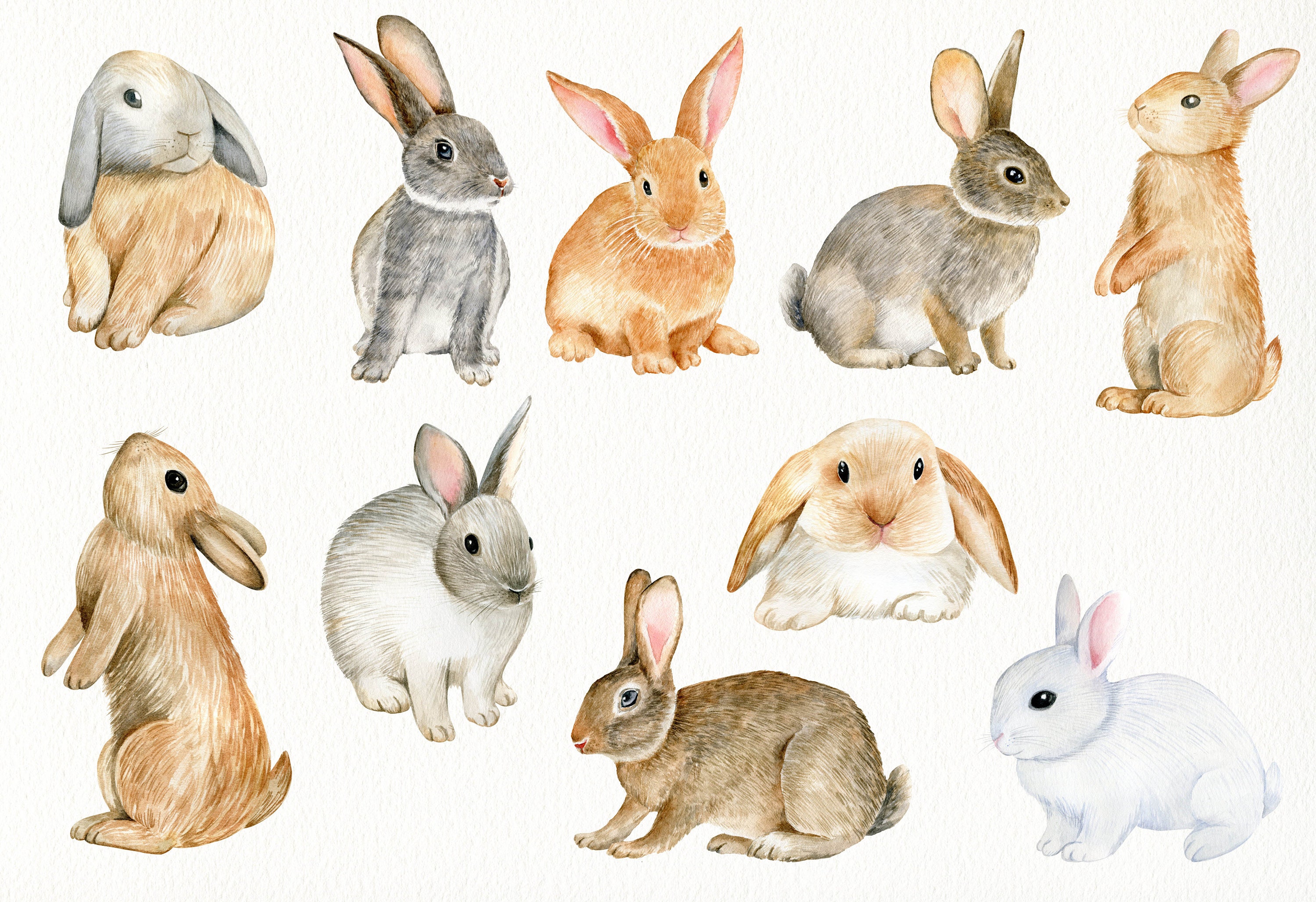 Watercolor Cute Rabbits Clipart Set. Hand Drawn Easter Spring Clip Art ...