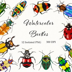 Watercolor Beetles Clipart Bug Insects Bug Catching - Etsy
