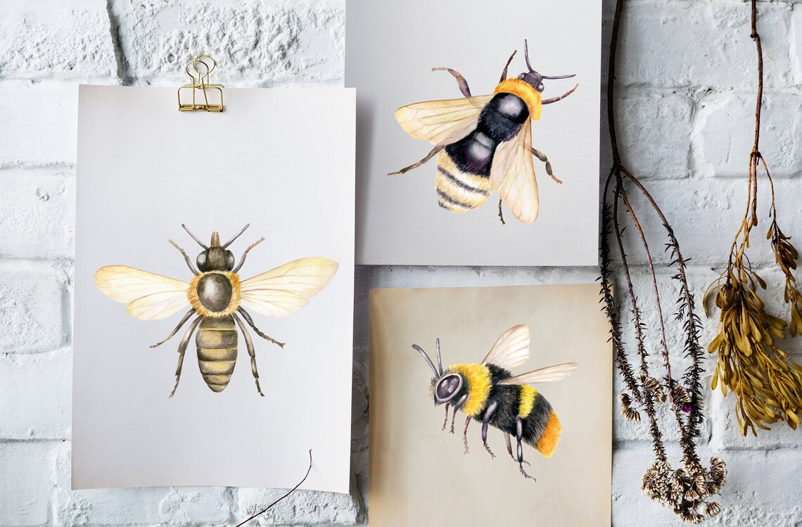 Watercolor Honey Bee Clipart Set. Hand Painted Vintage Insects | Etsy