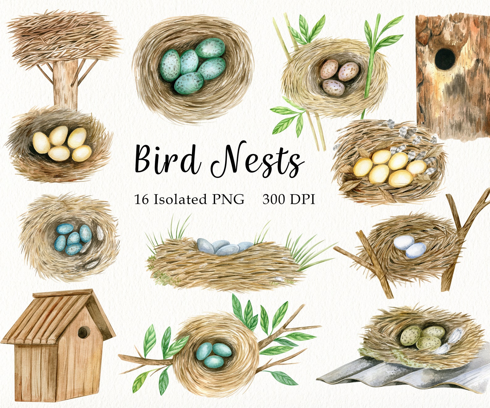 Watercolor Birds Nests and Eggs Clipart. Hand Painted Birds Houses ...