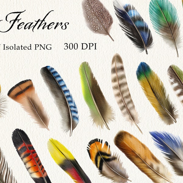 Watercolor Feather - Etsy