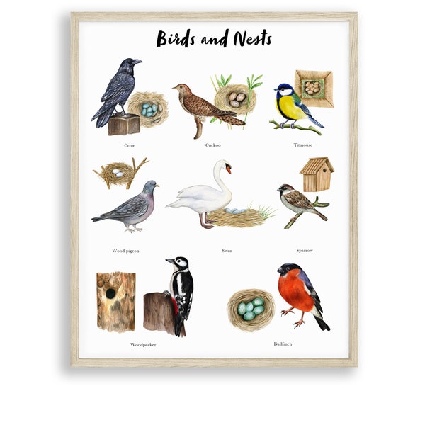 Nesting Birds Poster - Etsy
