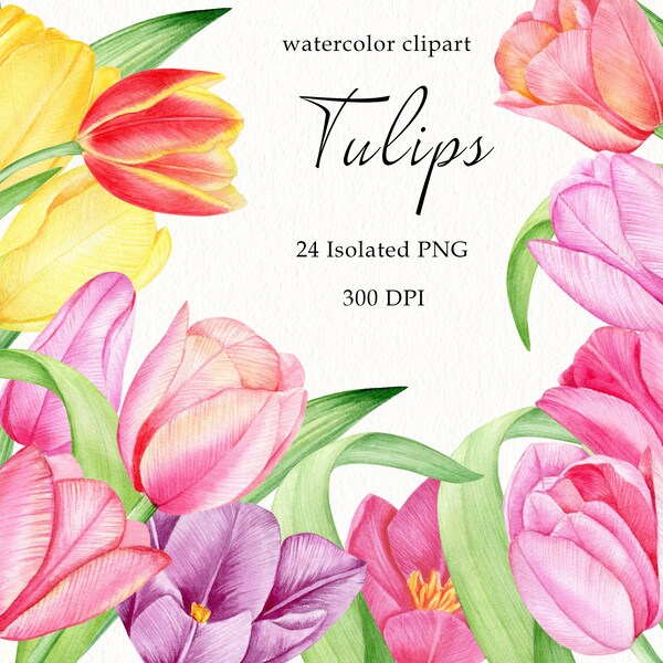Tulip Watercolor - Etsy