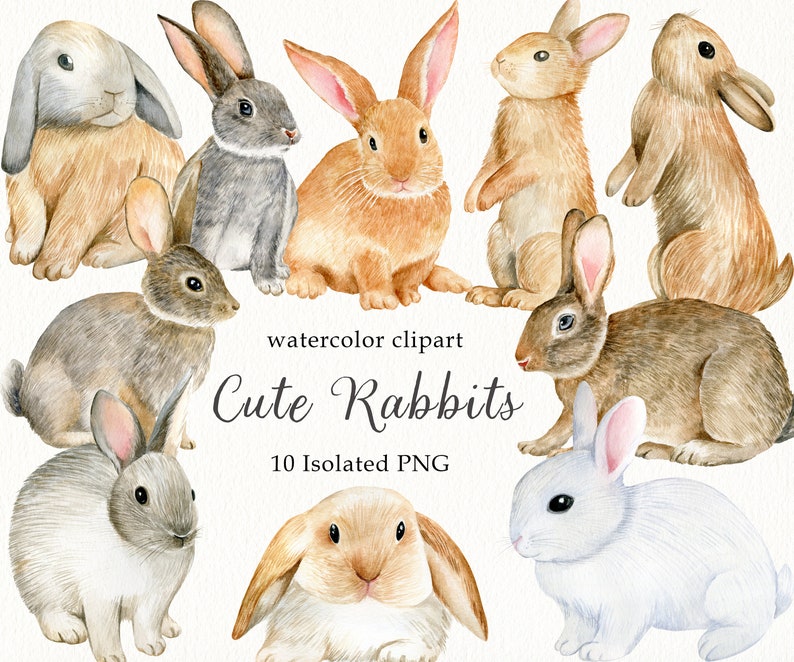 Watercolor Cute Rabbits Clipart Set. Hand Drawn Easter Spring - Etsy