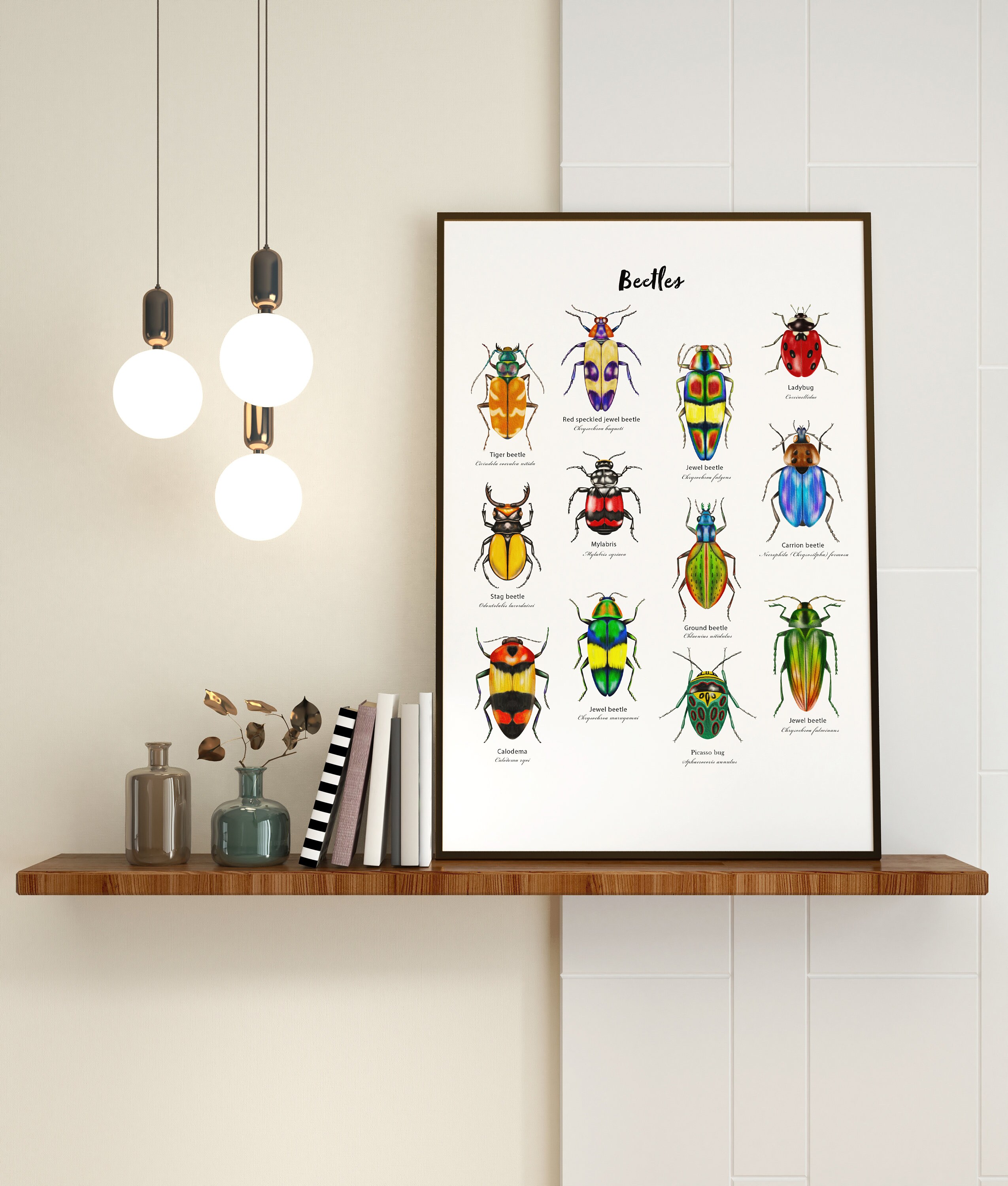 Watercolor Beetles Illustration Bug Poster Educational - Etsy