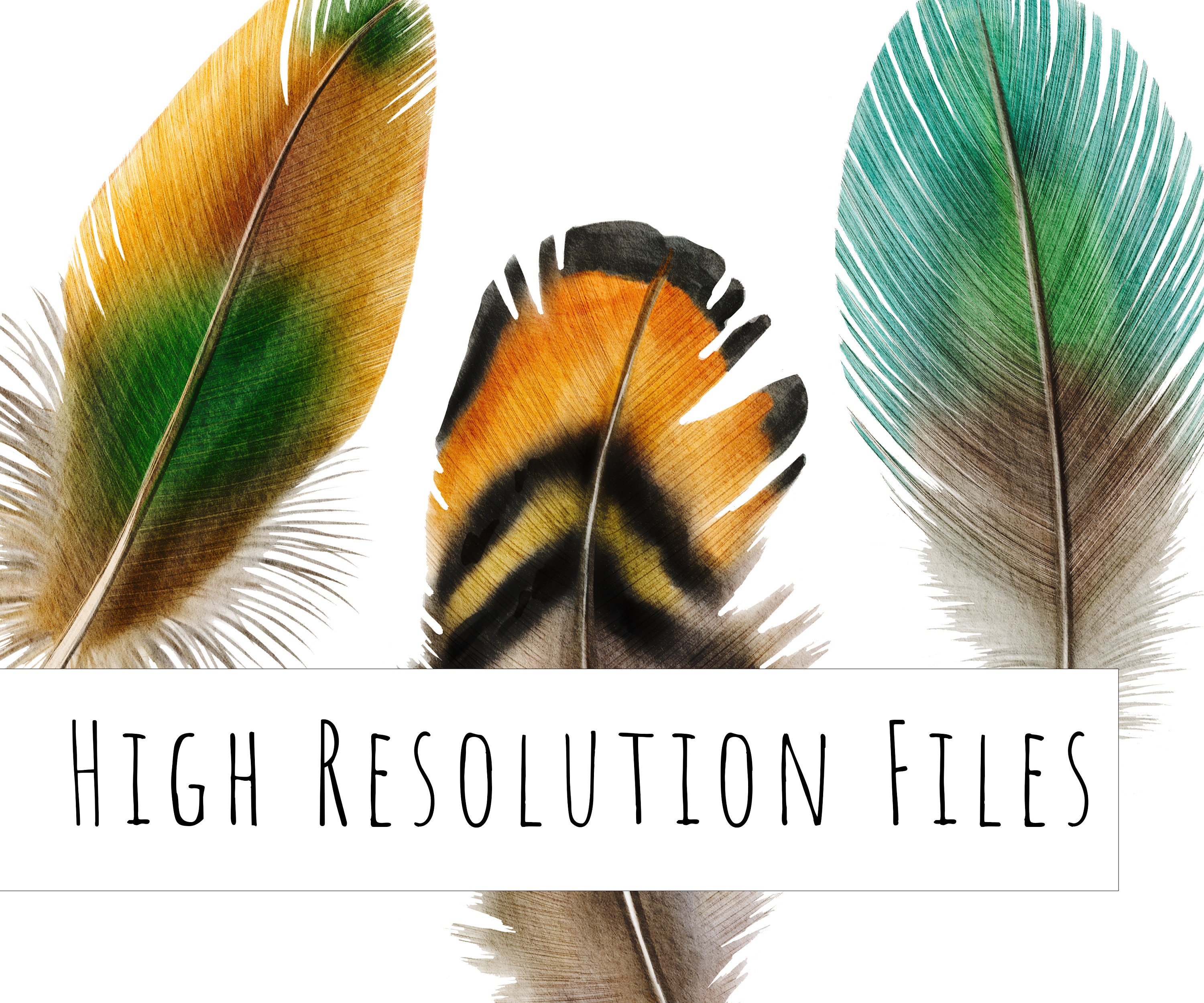 Watercolor Feathers Clipart, Birds Feather, Boho Clip Art, Hand Painted ...