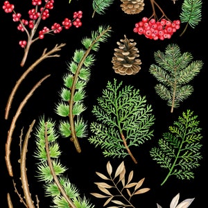 Christmas Watercolor Clipart. Winter Woodland Hand Painted Graphics ...