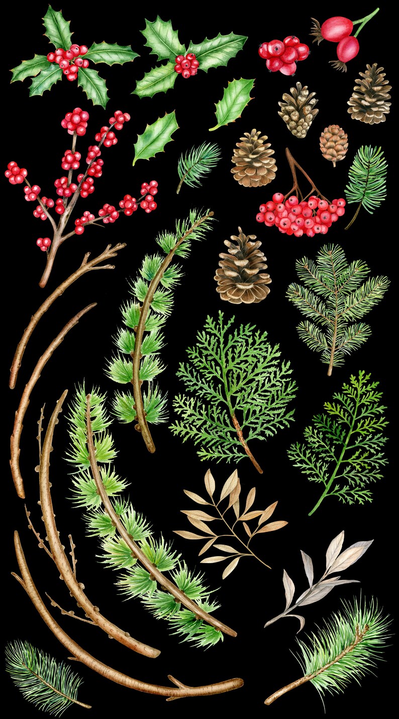 Christmas Watercolor Clipart. Winter Woodland Hand Painted Graphics ...